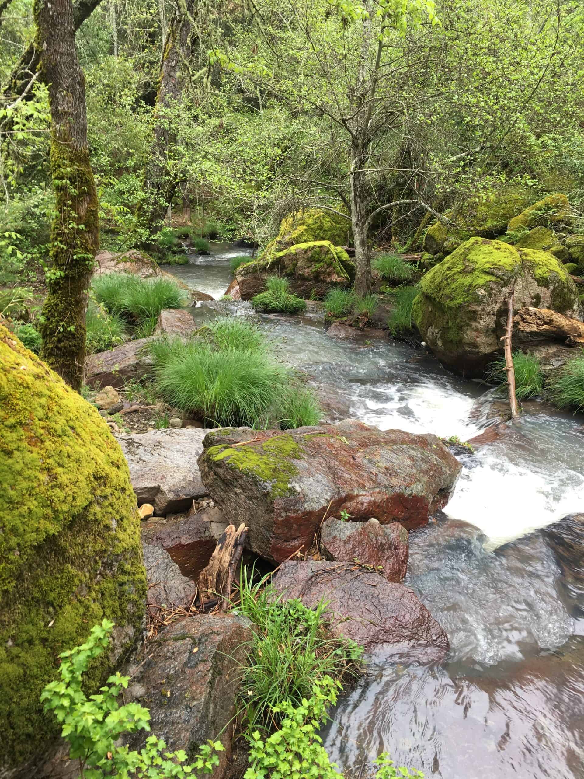 Many are Asking, Can Napa County’s Wine Industry, Economy, Water, and ...
