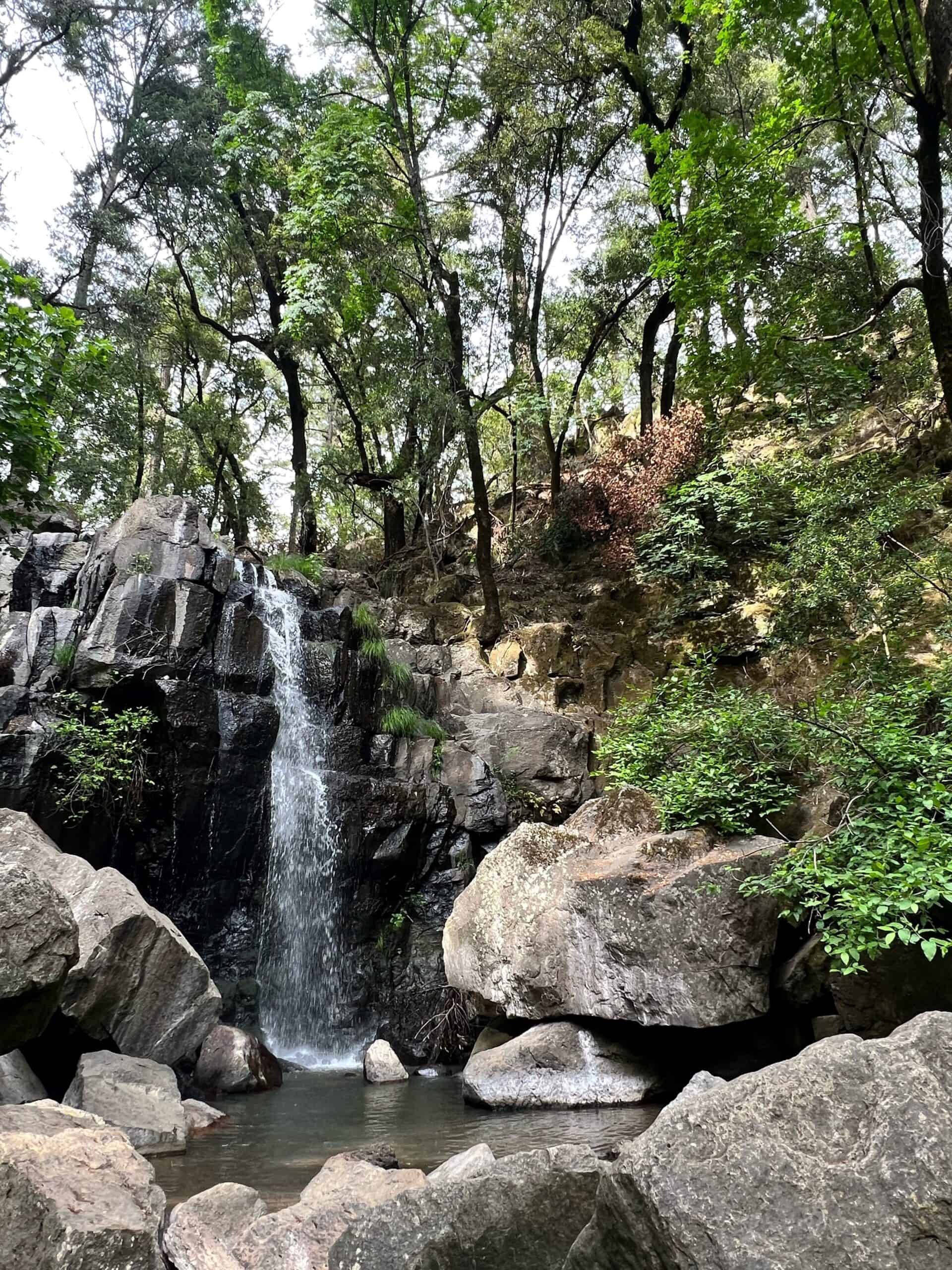 Le Colline: Napa Valley Register Letter - Linda Falls needs to be ...